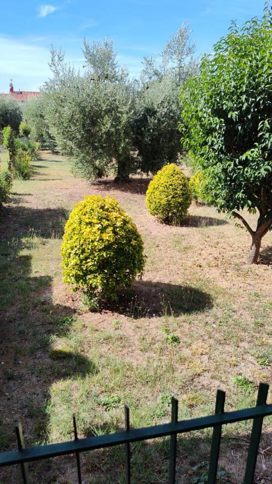 Appartamento in vendita a Montemurlo