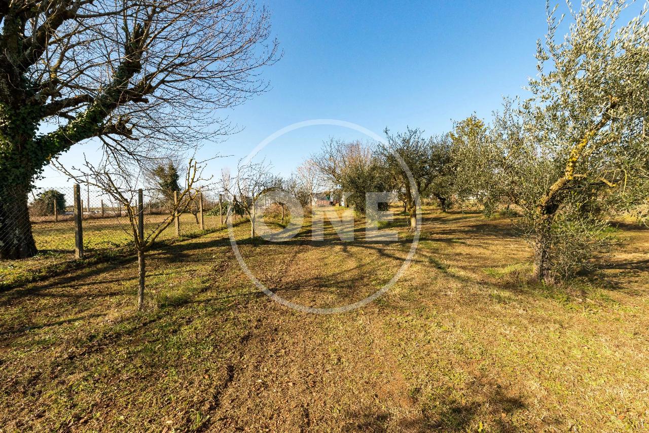 Terreno agricolo in vendita a Palestrina