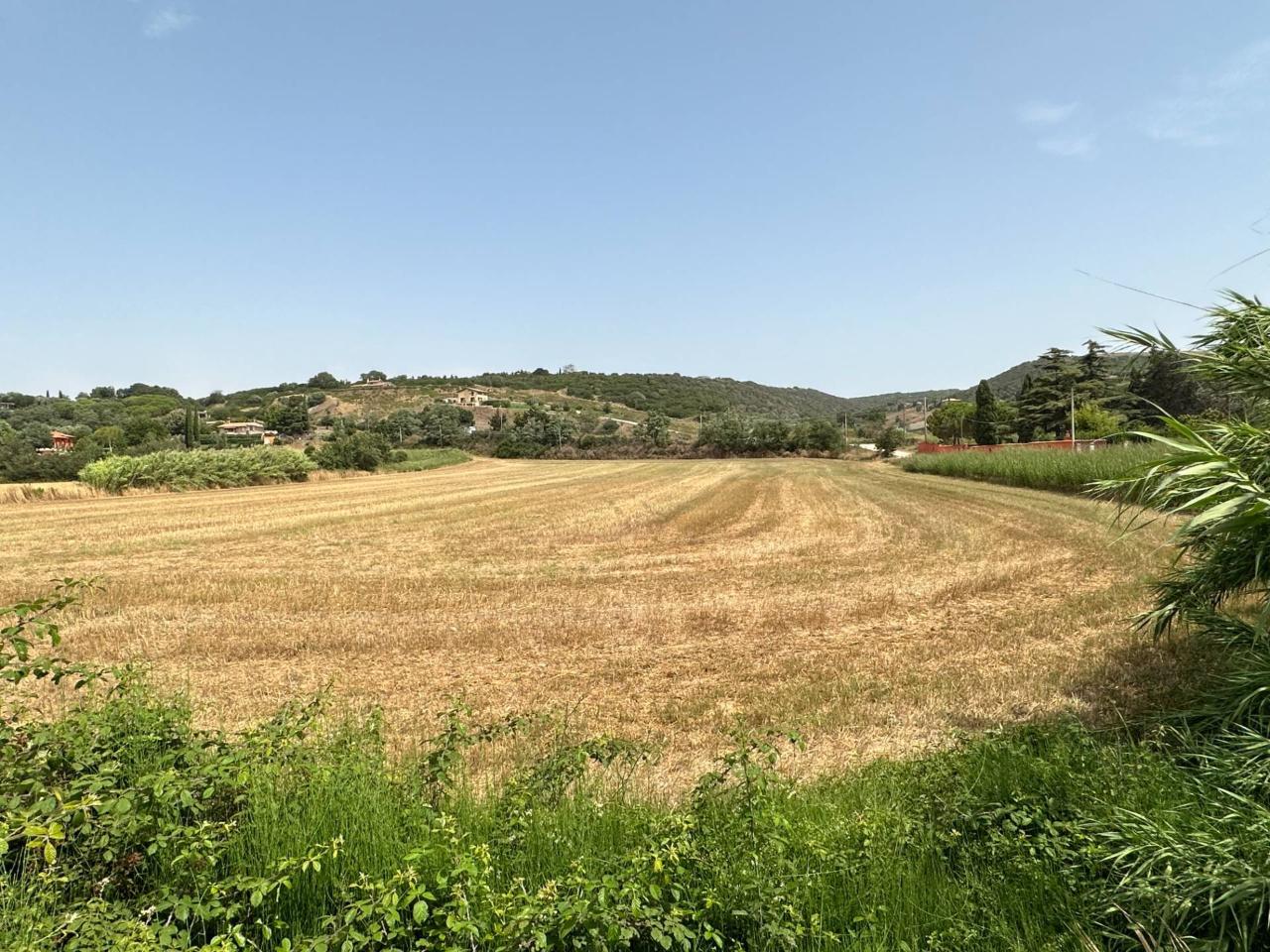 Terreno agricolo in vendita a Tarquinia