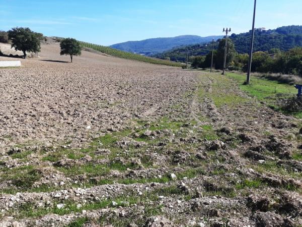 Terreno edificabile residenziale in vendita a Spoleto