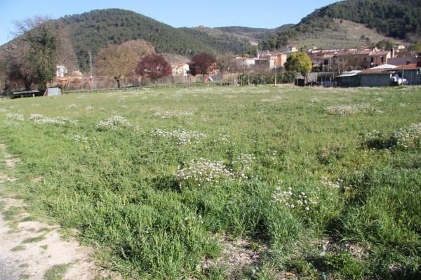 Terreno edificabile residenziale in vendita a Spoleto