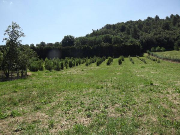 Terreno agricolo in vendita a Spoleto