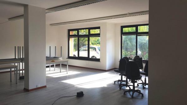 Negozio in affitto a Spoleto