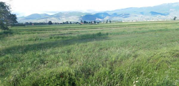 Terreno agricolo in vendita a Montefalco