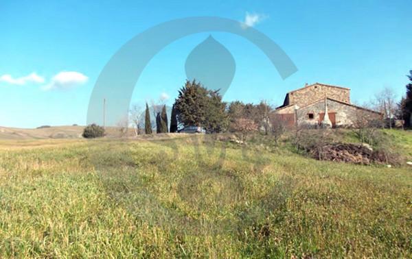 Azienda agricola in vendita a San Casciano Dei Bagni