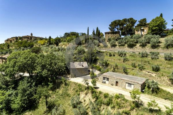 Azienda agricola in vendita a Trequanda