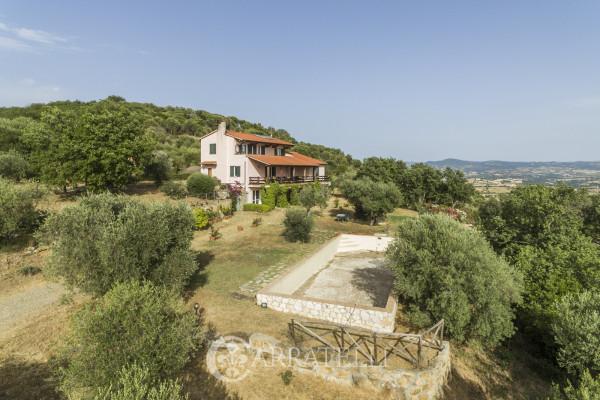 Azienda agricola in vendita a Campagnatico