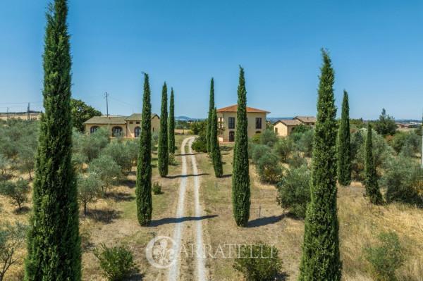 Azienda agricola in vendita a Cortona