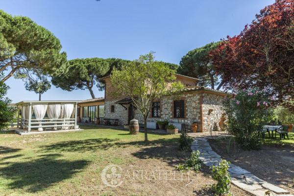 Azienda agricola in vendita a Castiglione Del Lago