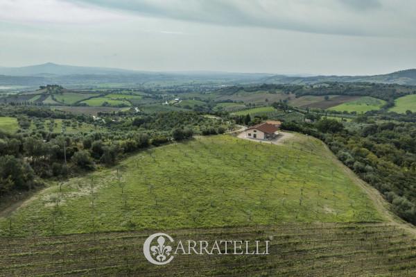 Azienda agricola in vendita a Campagnatico