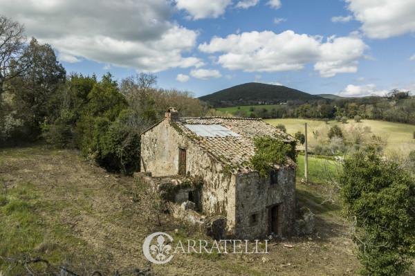 Casale in vendita a Amelia