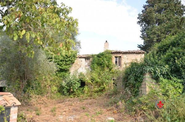 Rustico in vendita a San Casciano Dei Bagni