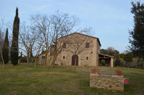 Casale in vendita a Roccalbegna