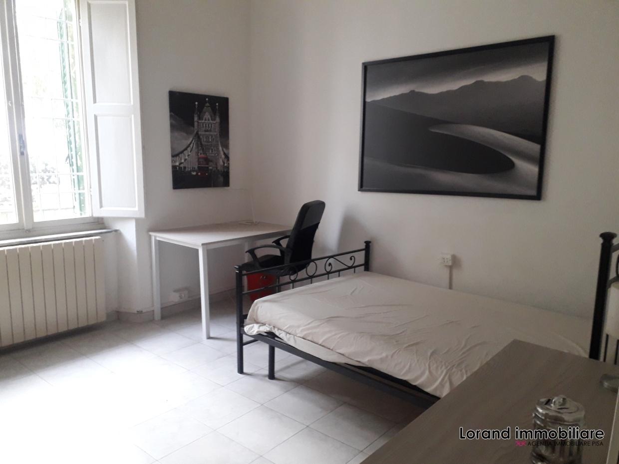 Appartamento in affitto a Pisa