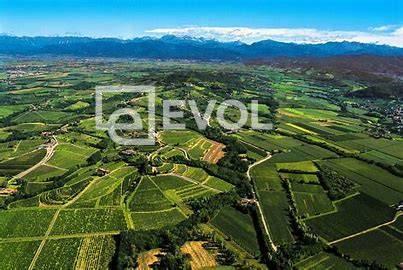 Azienda agricola in vendita a Corno Di Rosazzo