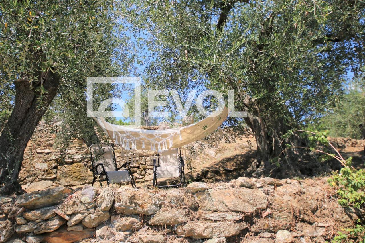 Azienda agricola in vendita a Pisa