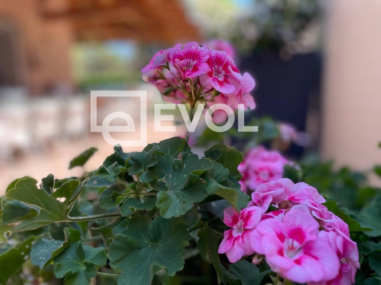 Villa in vendita a Lignano Sabbiadoro