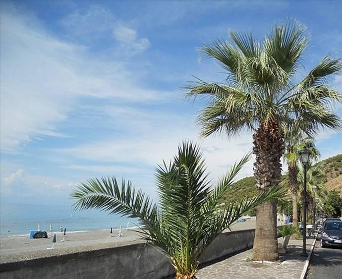 Appartamento in vendita a Palizzi