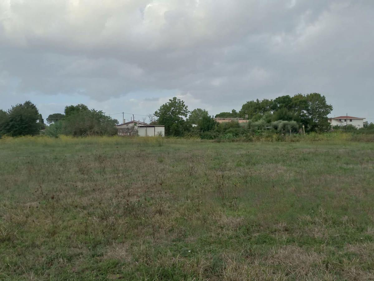 Terreno agricolo in Via dell'Oliveto Snc, Aprilia