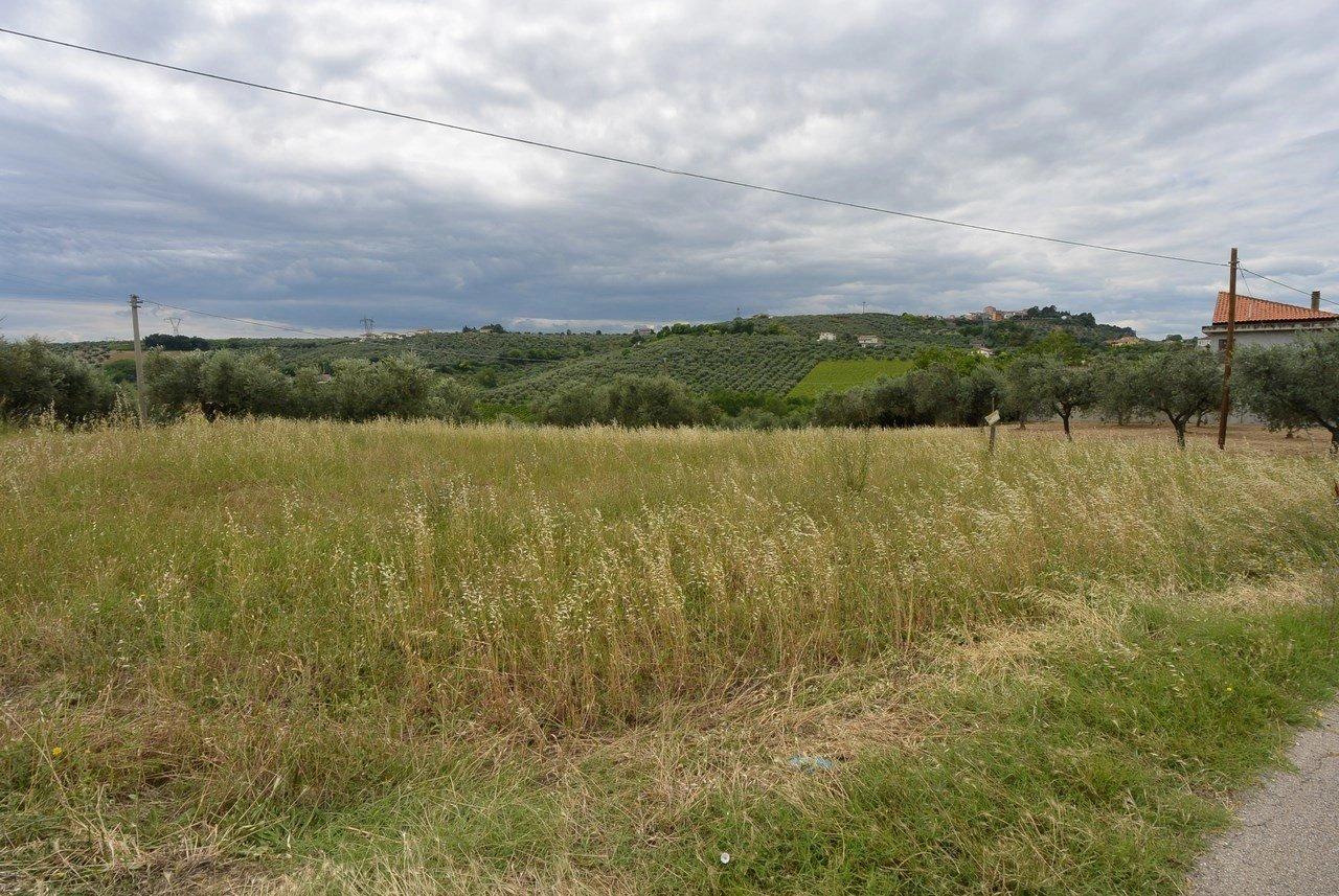 Terreno edificabile residenziale in vendita a Moscufo