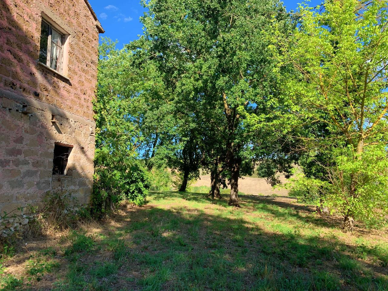 Terreno edificabile in vendita a Attigliano