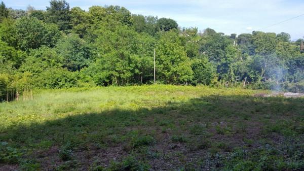 Terreno agricolo in vendita a Velletri