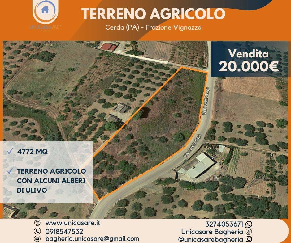 Terreno agricolo in vendita a Cerda