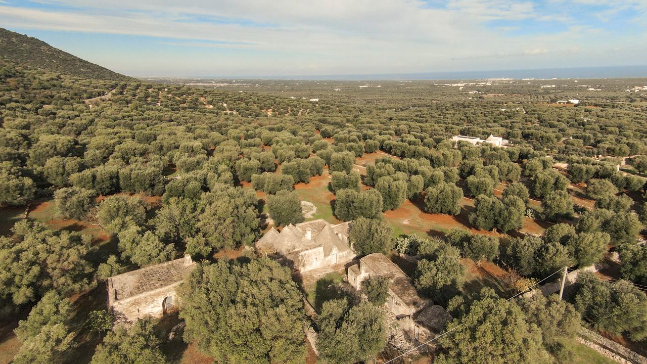 Casa indipendente in vendita a Fasano
