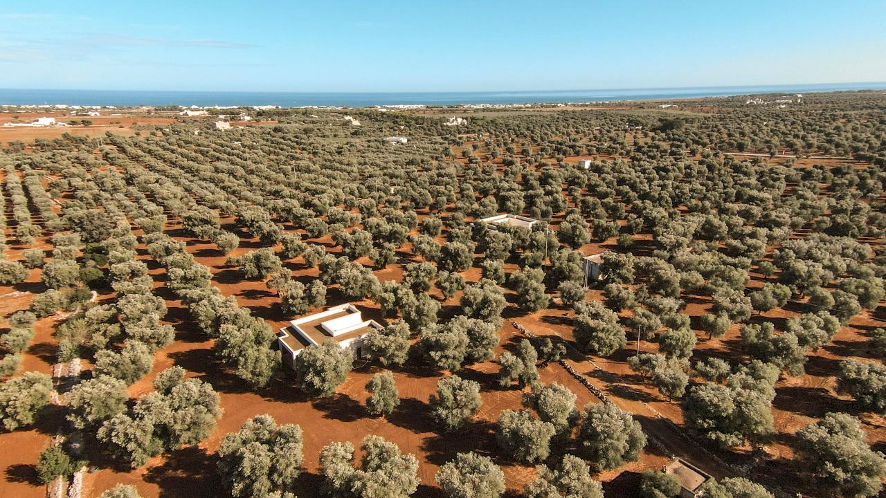 Villa in vendita a Ostuni