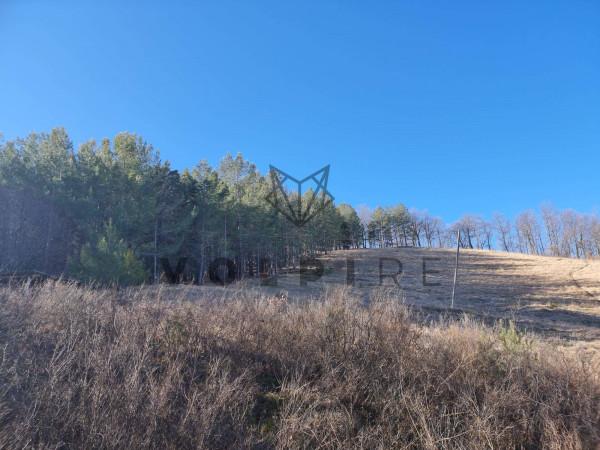 Terreno agricolo in vendita a Assisi