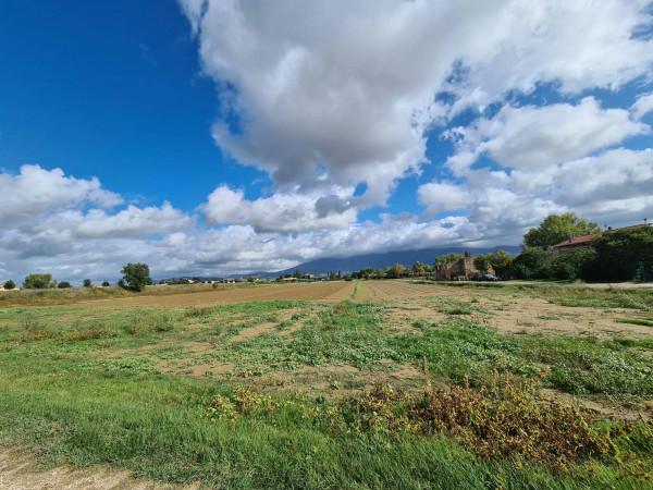 Terreno edificabile residenziale in vendita a Cannara