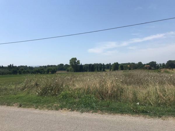 Terreno agricolo in vendita a Assisi