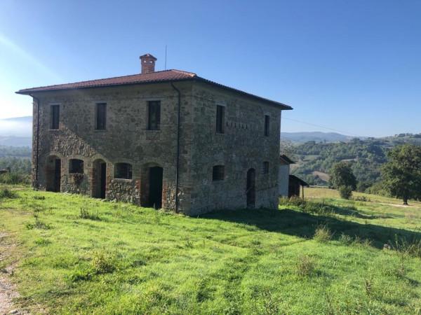 Azienda agricola in vendita a Bevagna