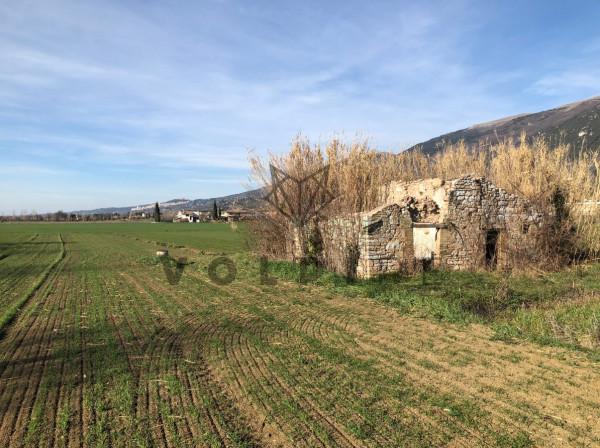 Casale in vendita a Spello