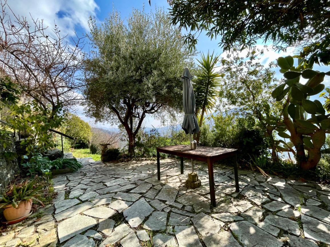 Casa indipendente in vendita a Testico