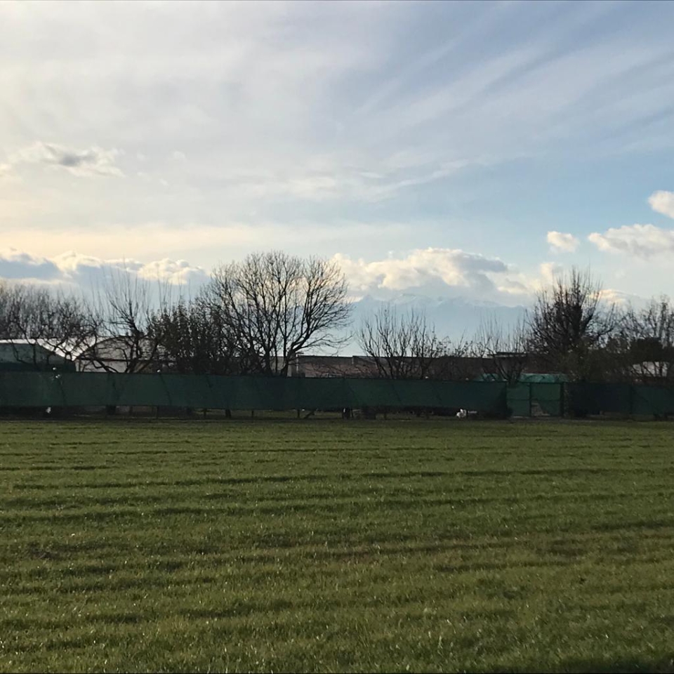 Terreno agricolo in vendita a Vinovo