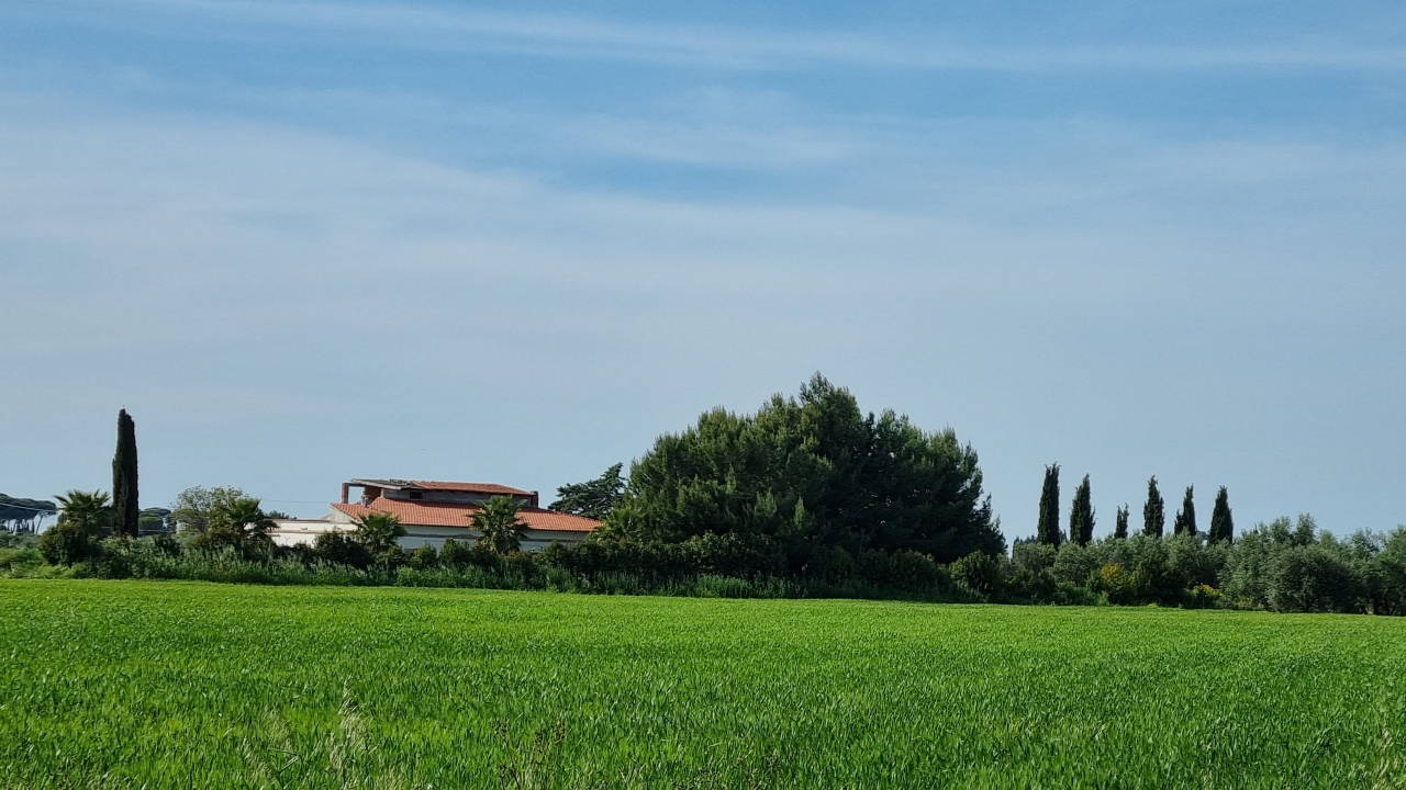 Terreno agricolo in vendita a Foggia