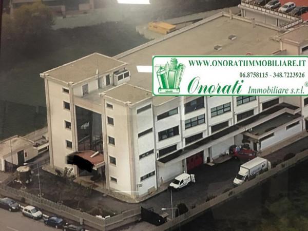 Capannone in affitto a Guidonia Montecelio