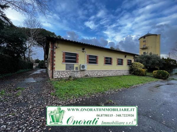 Capannone in affitto a Roma