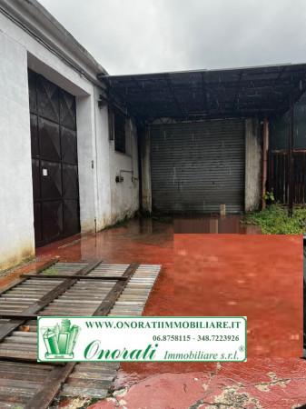 Capannone in affitto a Tivoli