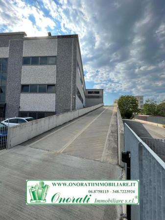 Capannone in affitto a Guidonia Montecelio