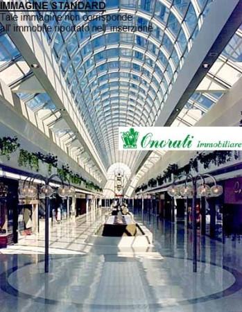 Concessionario in affitto a Roma