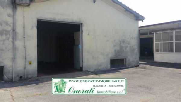Negozio in vendita a Guidonia Montecelio