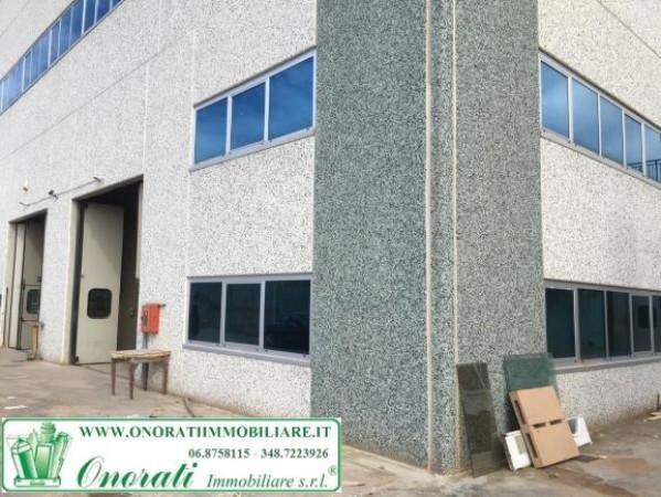 Capannone in affitto a Guidonia Montecelio