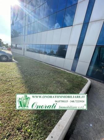 Ufficio in affitto a Roma