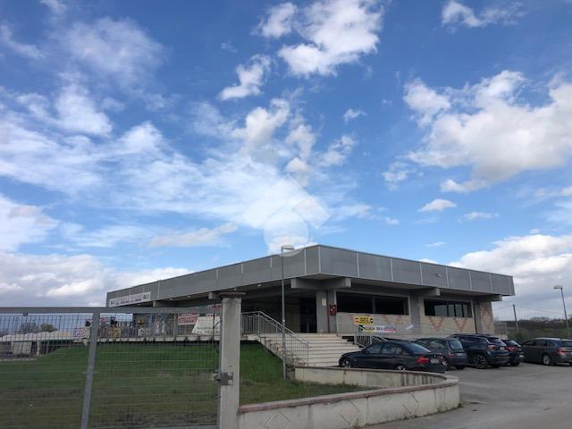 Negozio in affitto a Patrica