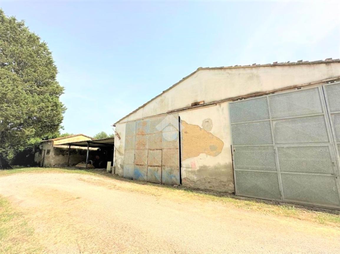 Rustico in vendita a Collesalvetti