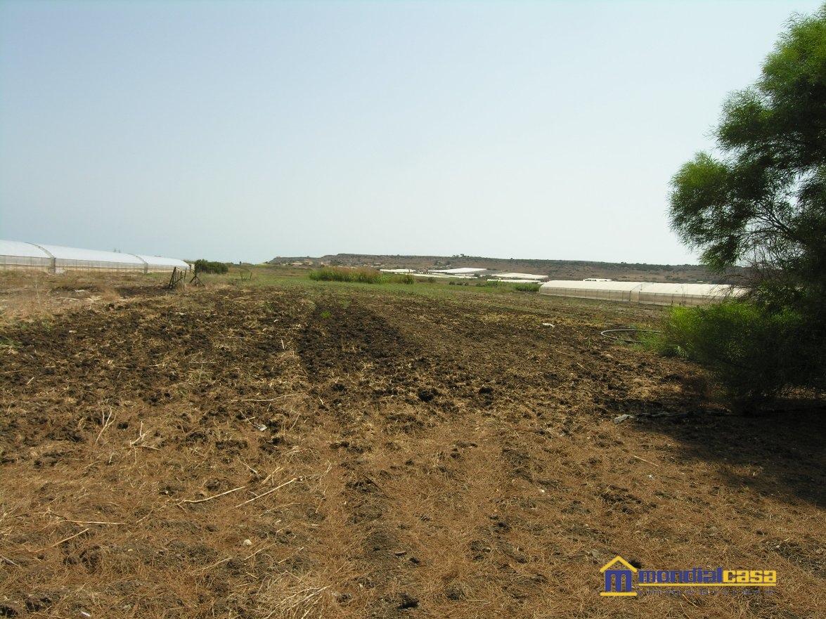 Terreno agricolo in vendita a Pachino