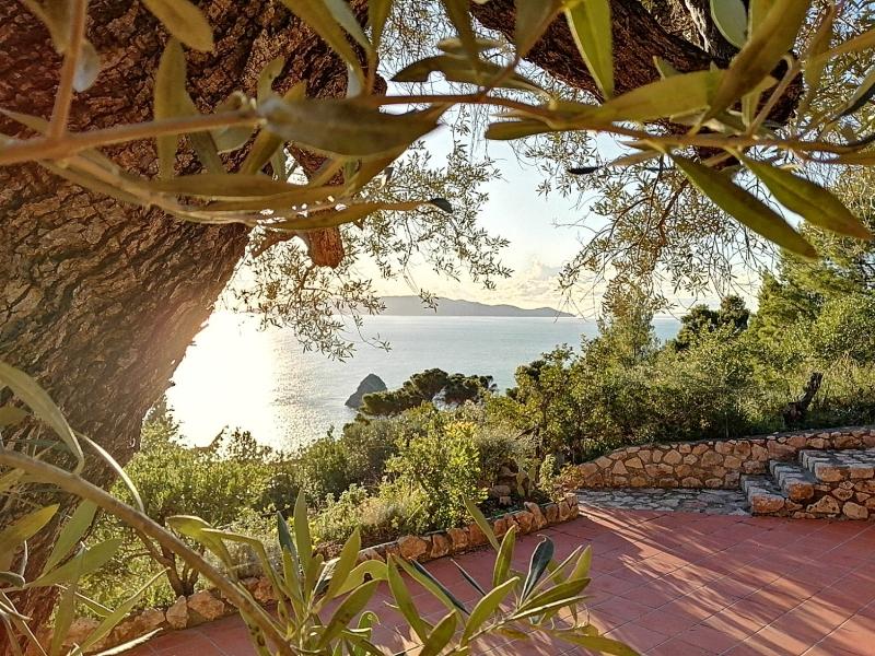 Rustico in affitto a Monte Argentario