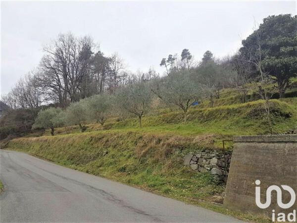 Terreno agricolo in vendita a Stella